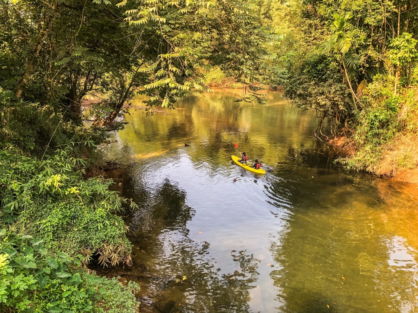 Flat Water Kayaking Expedition - Eco Grip